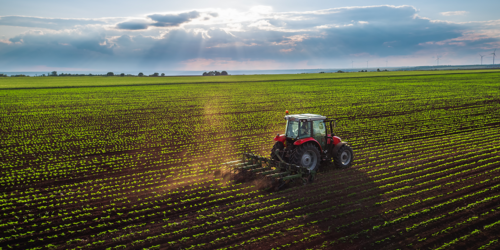 Learning Management System Case Study, Safety Training Case Study